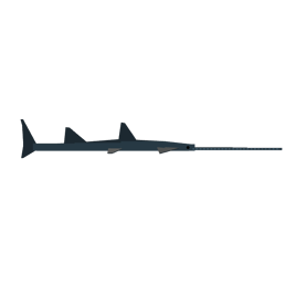 Sawfish | Fisch Wiki | Fandom