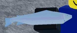 Trout | Fisch Wiki | Fandom