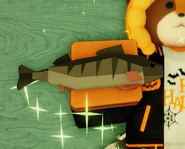 Perch | Fisch Wiki | Fandom