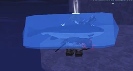 Cobia | Fisch Wiki | Fandom