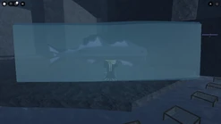 Barbed Shark | Fisch Wiki | Fandom