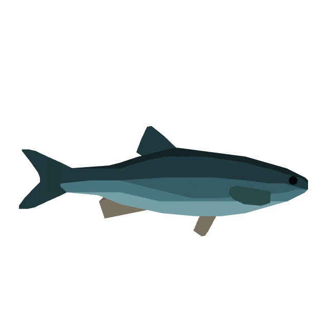 Chub | Fisch Wiki | Fandom