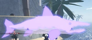 Helicoprion | Fisch Wiki | Fandom