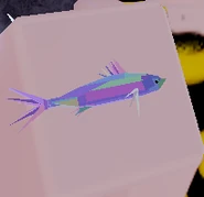 Spiderfish | Fisch Wiki | Fandom