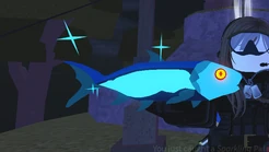 Palaeoniscum | Fisch Wiki | Fandom