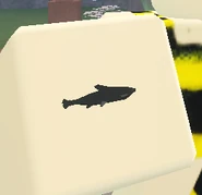 Minnow | Fisch Wiki | Fandom