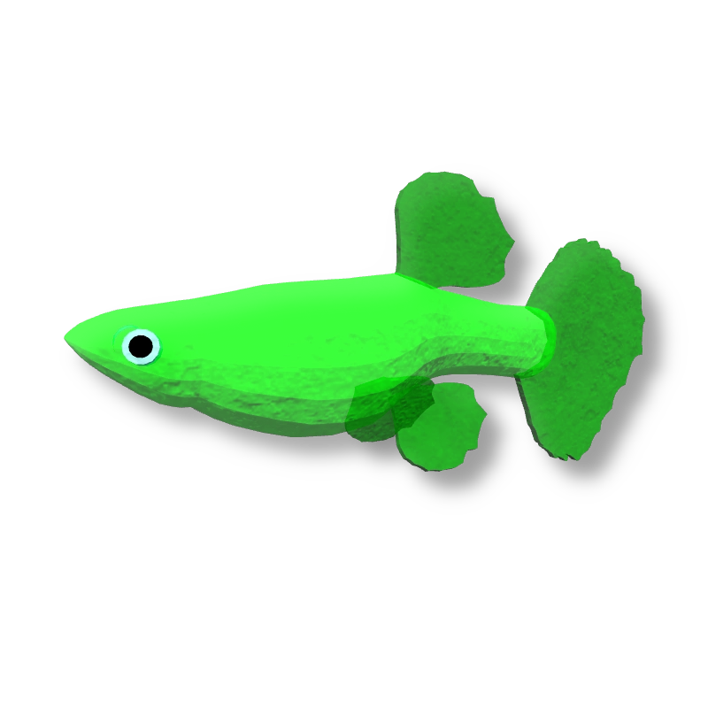 Gummy Guppy | Fisch Wiki | Fandom