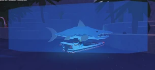 Helicoprion | Fisch Wiki | Fandom