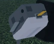 Pufferfish | Fisch Wiki | Fandom