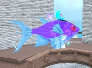 X-ray Tetra | Fisch Wiki | Fandom