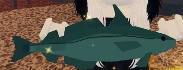 Haddock | Fisch Wiki | Fandom