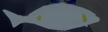 Halibut | Fisch Wiki | Fandom