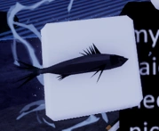 Spiderfish | Fisch Wiki | Fandom