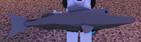 Chinfish | Fisch Wiki | Fandom