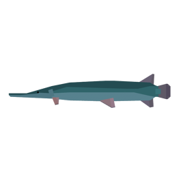 Alligator Gar | Fisch Wiki | Fandom