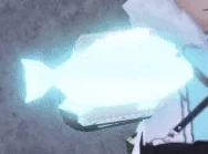 Bream | Fisch Wiki | Fandom