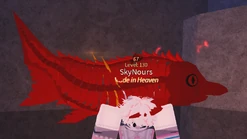 Phanerorhynchus | Fisch Wiki | Fandom