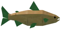 Carrot Salmon | Fisch Wiki | Fandom