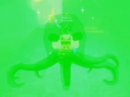 Depth Octopus | Fisch Wiki | Fandom