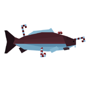 Peppermint Worm | Fisch Wiki | Fandom