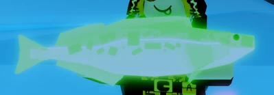 Lingcod | Fisch Wiki | Fandom