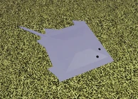 Stingray | Fisch Wiki | Fandom