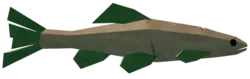 Carrot Minnow | Fisch Wiki | Fandom