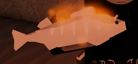 Ember Perch | Fisch Wiki | Fandom