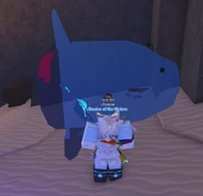 Sunfish | Fisch Wiki | Fandom