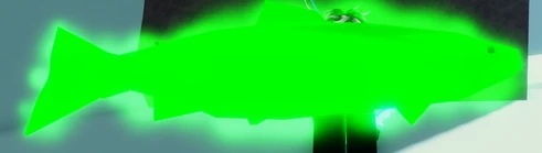 Salmon | Fisch Wiki | Fandom