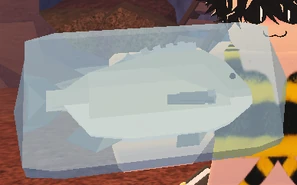 Bream | Fisch Wiki | Fandom