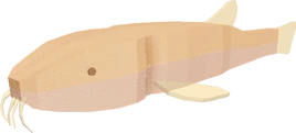 Cave Loach | Fisch Wiki | Fandom