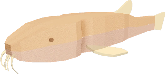 Cave Loach | Fisch Wiki | Fandom
