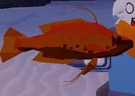 Longtail Bass | Fisch Wiki | Fandom