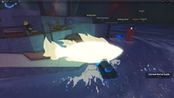 Crystal Wrasse | Fisch Wiki | Fandom