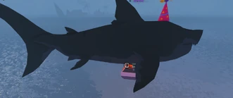 Birthday Megalodon | Fisch Wiki | Fandom
