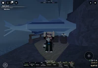 Barbed Shark | Fisch Wiki | Fandom