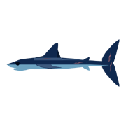 Deep Coral | Fisch Wiki | Fandom