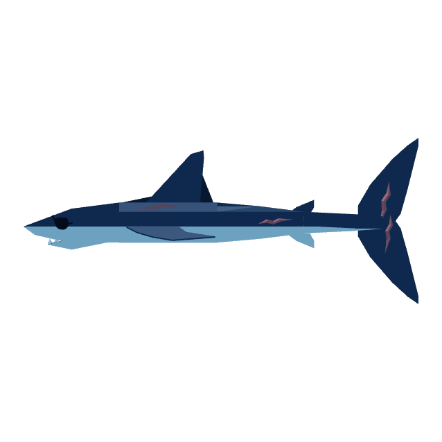 Shortfin Mako Shark | Fisch Wiki | Fandom