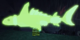 Frilled Shark | Fisch Wiki | Fandom