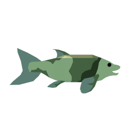 Lepidotes | Fisch Wiki | Fandom