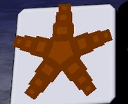 Starfish | Fisch Wiki | Fandom