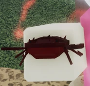 Mushgrove Crab | Fisch Wiki | Fandom