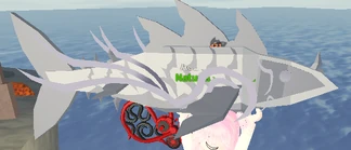 Cyclone Mako | Fisch Wiki | Fandom