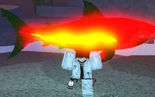 Ginsu Shark | Fisch Wiki | Fandom