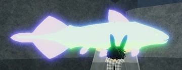 Diplurus | Fisch Wiki | Fandom