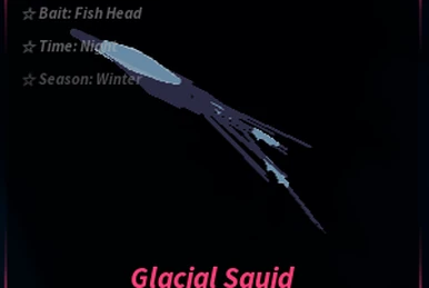 glacial squid
