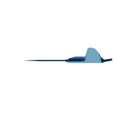 Manta Ray | Fisch Wiki | Fandom