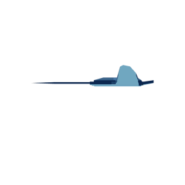 Manta Ray | Fisch Wiki | Fandom