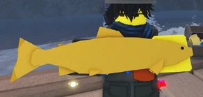 Salmon | Fisch Wiki | Fandom